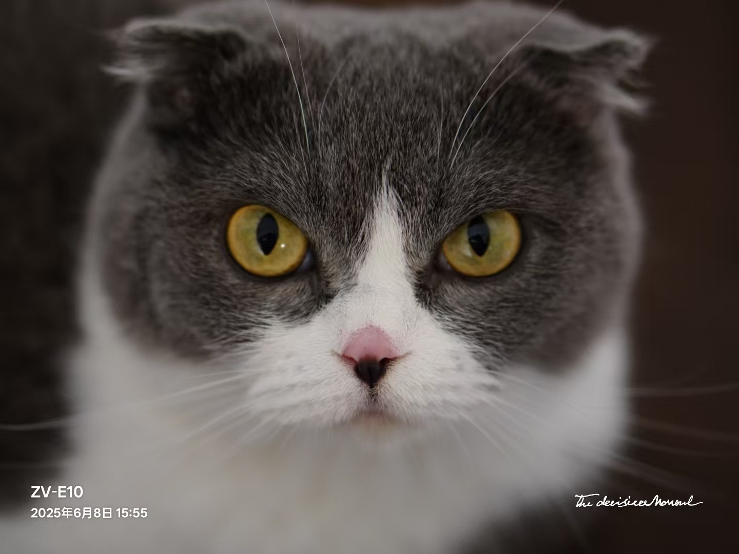 Sony ZV-E10 · Tisxst's Blog